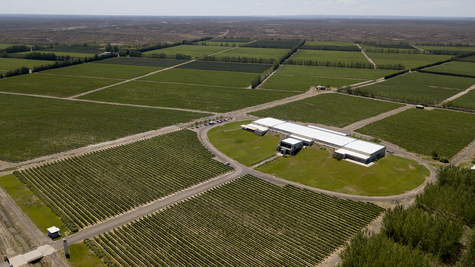 Bodega Malma, vinos veganos de la Patagonia certificados por VEG ...