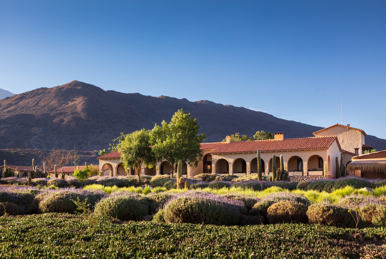 Colomé, el lugar ideal para vacacionar en Salta - The Wine Time