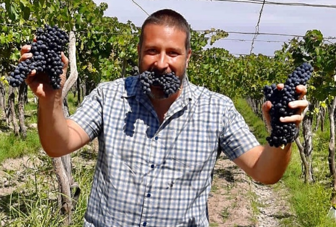 Mirá Quien Vino: Hoy Federico Isgró - The Wine Time