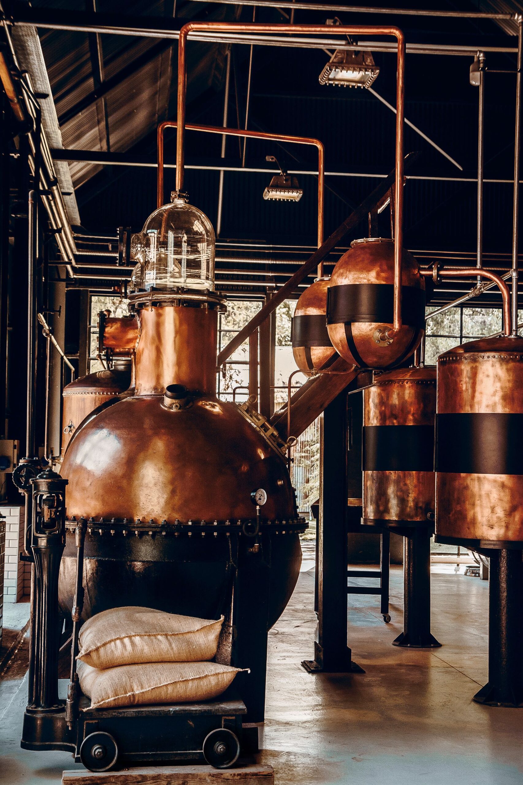 Sabores andinos, un recorrido por la destilación artesanal - The Wine Time