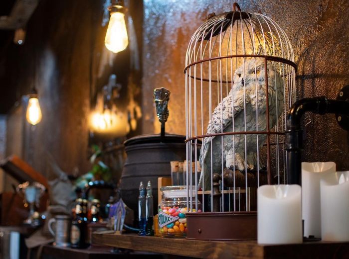 Cómo es y qué ofrece el bar temático de Harry Potter en nuestro país ...