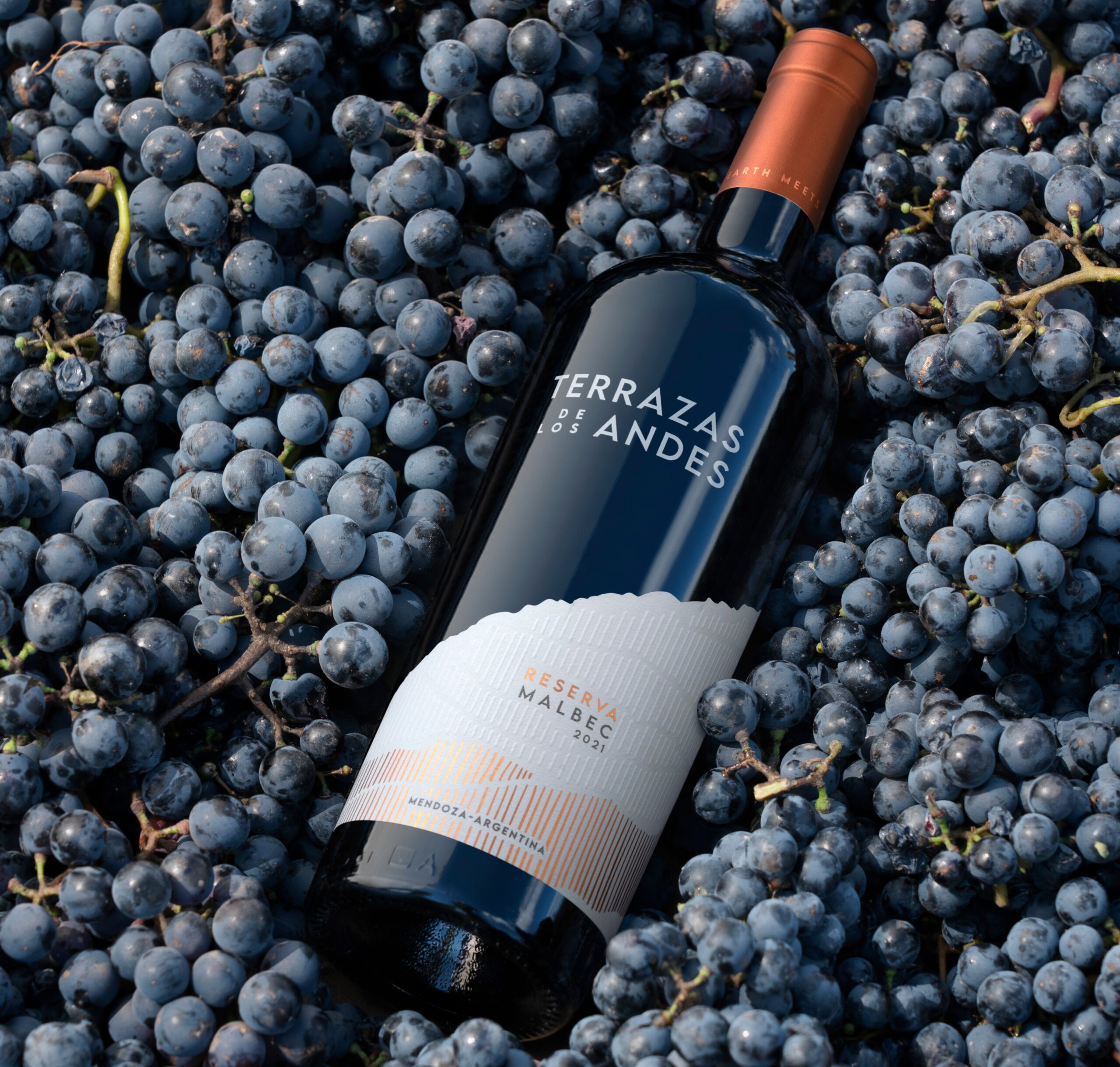 Terrazas de los Andes celebra el día mundial del Malbec - The Wine Time