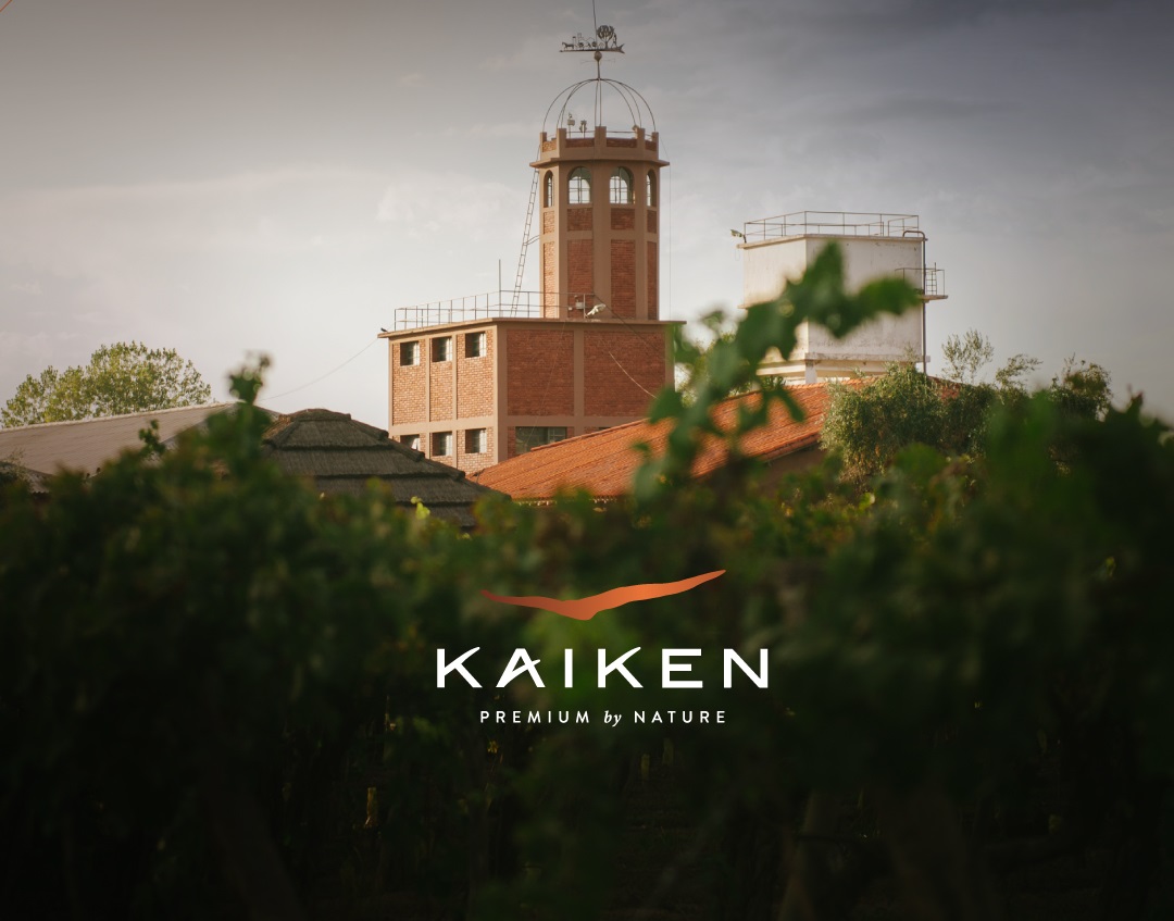 Sommelier Wine Awards: Bodega Kaiken fue galardonada con la distinción ...