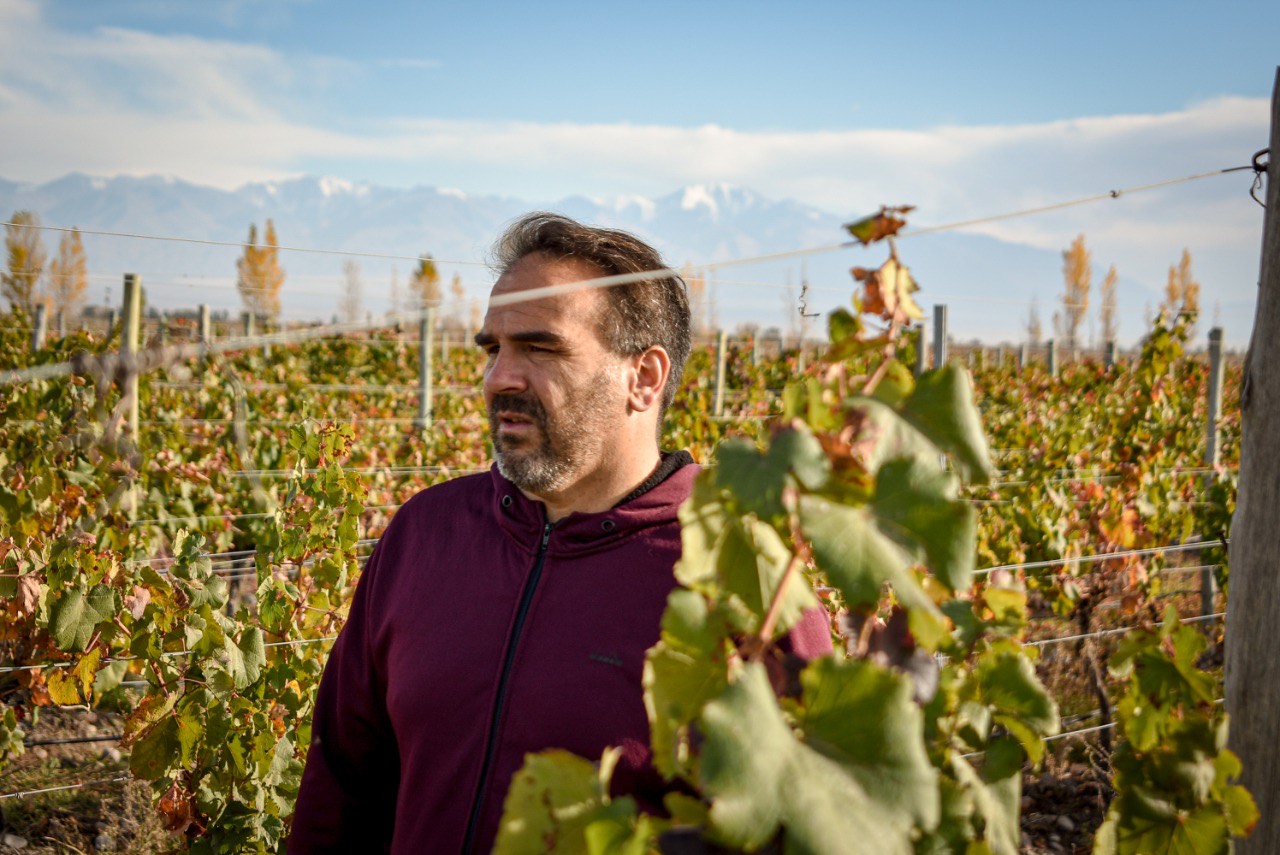 Mirá Quien Vino: Hoy Bernardo Bossi Bonilla - The Wine Time