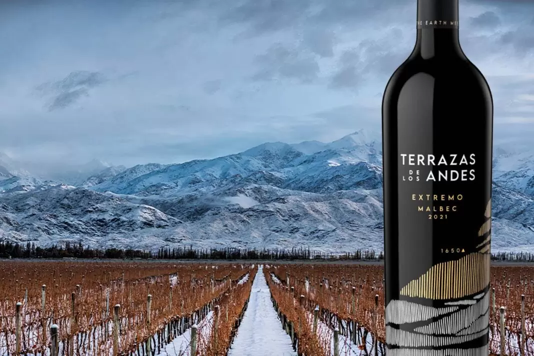 Con uvas del viñedo más alto del Valle de Uco, Terraza de los Andes ...