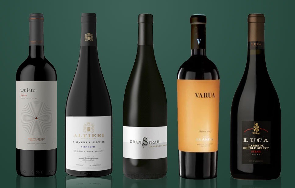 5 Syrah argentinos para entender su potencial - The Wine Time