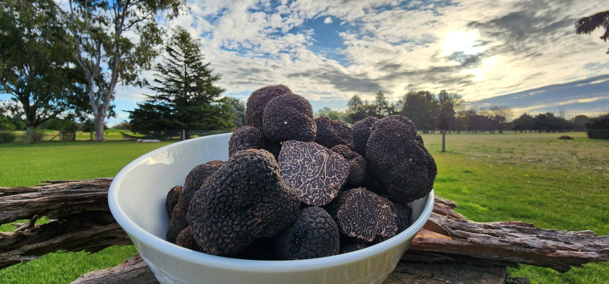 Trufas en Argentina - The Wine Time